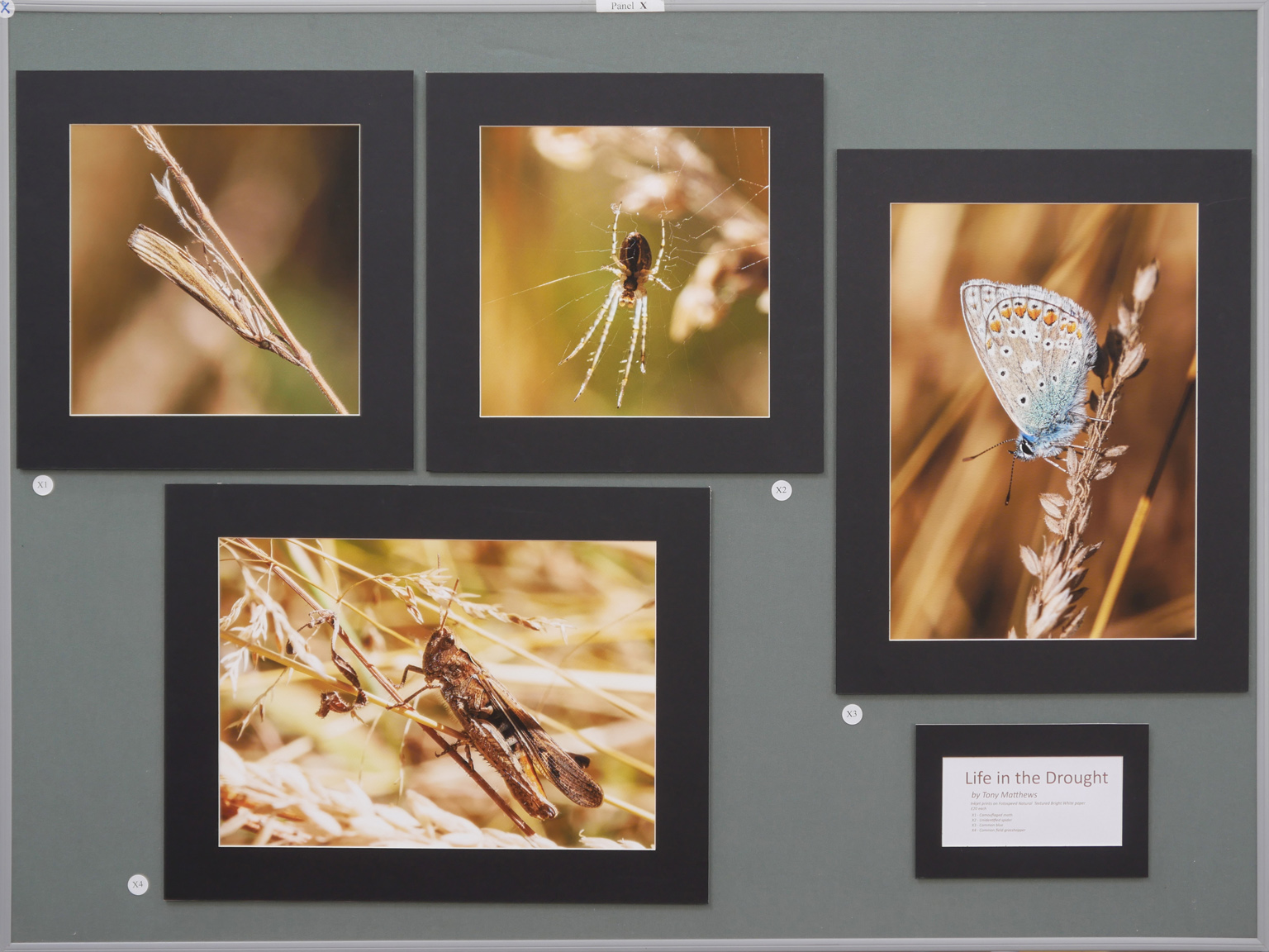 2022 Exhibition -KPC