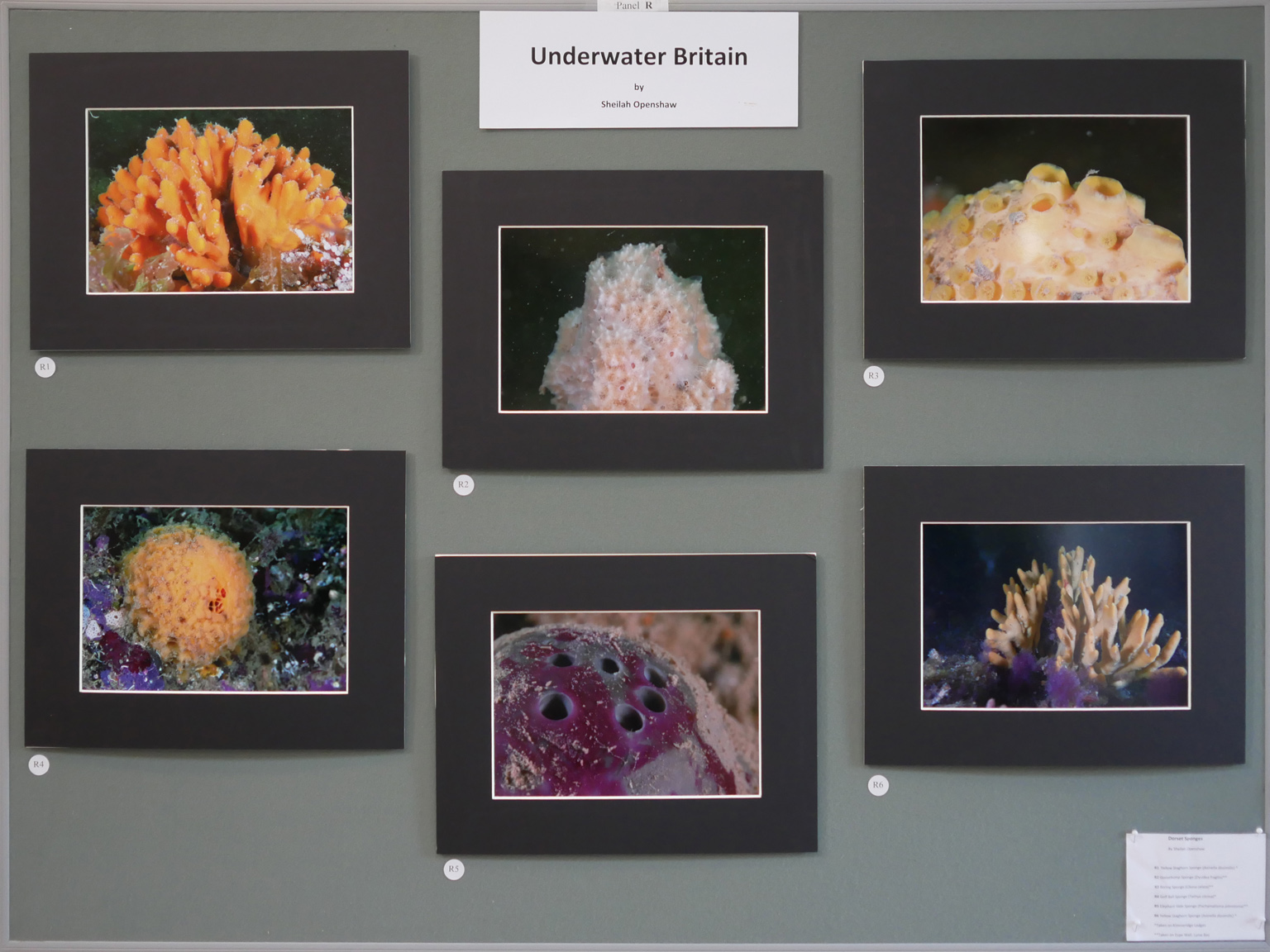 2022 Exhibition -KPC